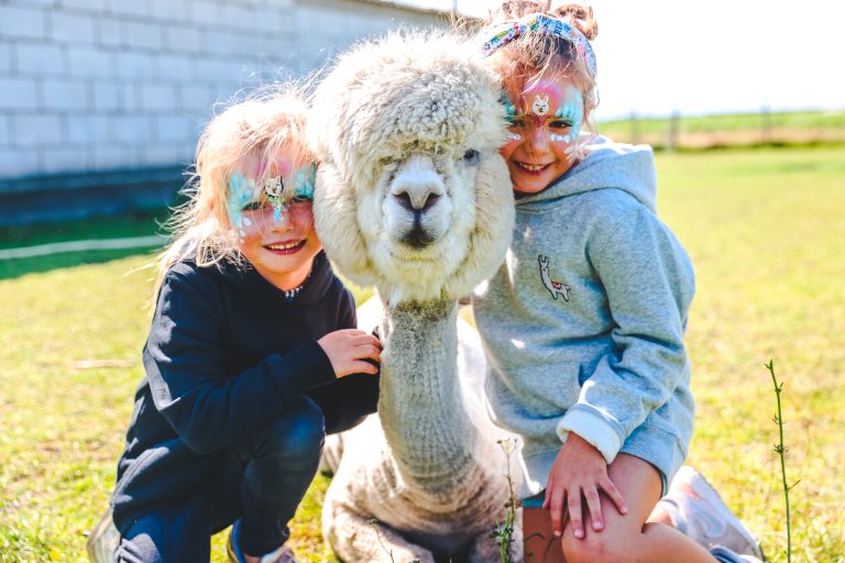 Alpaca Meet & Greet - Alpaca Hoogstraten